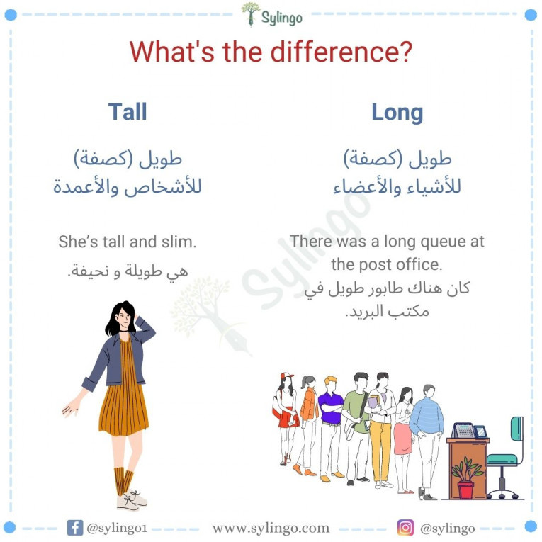الفرق بين Long و Tall | Sylingo