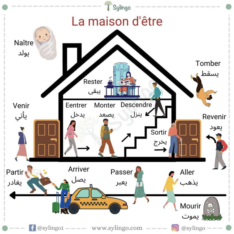 les verbes de mouvement - أفعال الحركة | Sylingo